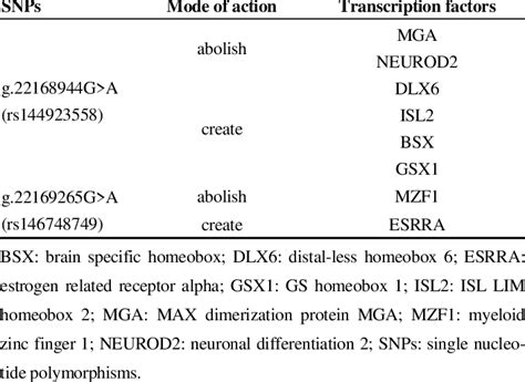 Predicted Binding Sites For Transcription Factors Affected By The Two