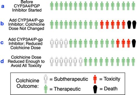Colchicine Drug Interaction Errors And Misunderstandings Recommendations For Improved Evidence