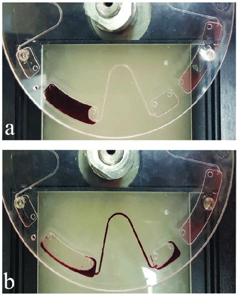 The Top View Of A Centrifugal Microfluidic Disc A The Liquid Is Download Scientific Diagram