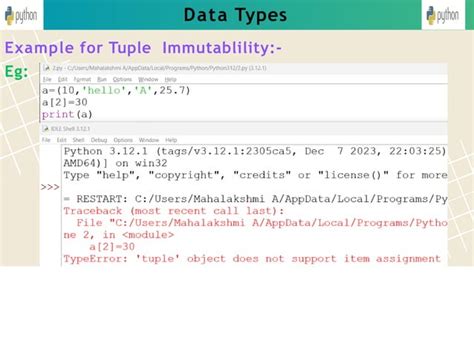 Python Programming For Problem Solvingpptx