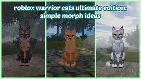 Simple Morph Ideas Warrior Cats Ultimate Edition Roblox YouTube