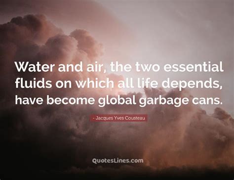 60 Best Pollution Quotes And Sayings Quoteslines