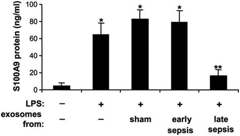 Long Non Coding Rna Hotairm1 Promotes S100a9 Support Of Mdsc Expansion
