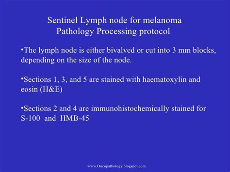 Melanoma Sentinel Lymph Node