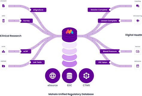 49 Top Randomization Software Systems