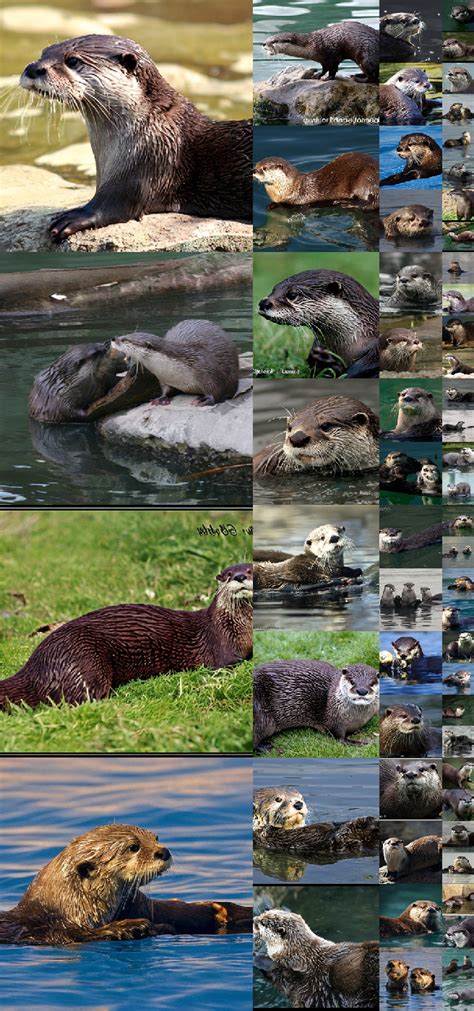 Pdf Scalable Diffusion Models With Transformers Semantic Scholar