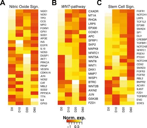 如何用Python和机器学习炒股赚钱 知乎