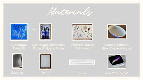 Cyanotypes From Botanical Sunprint To Repeating Pattern In Procreate