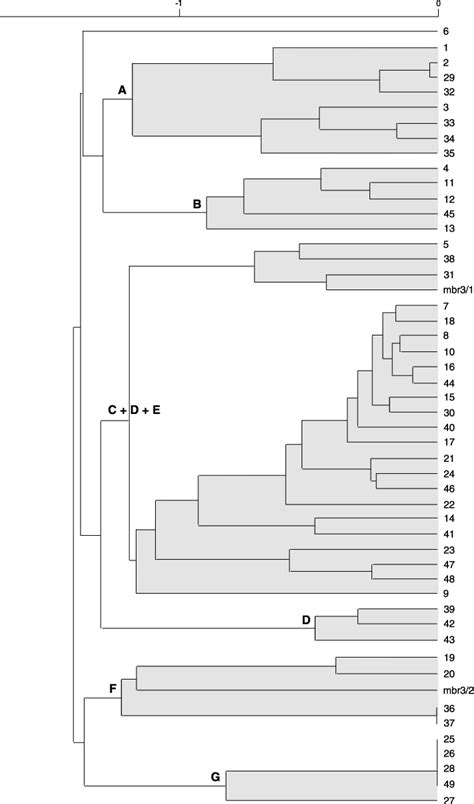 Cluster Analysis Q Mode Of Data From Patzkowsky 1995 With Data From