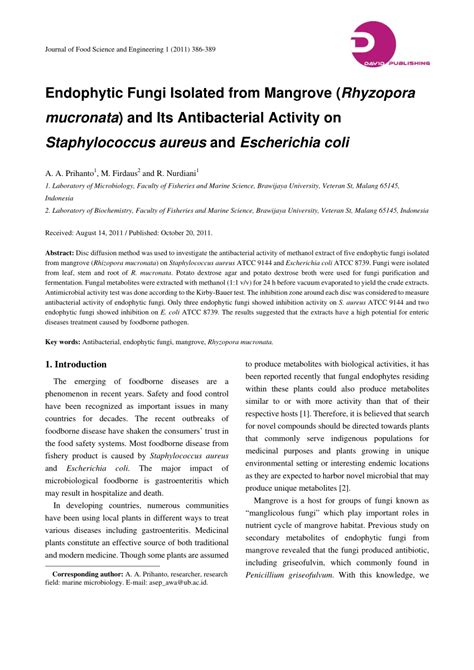 Pdf Endophytic Fungi Isolated From Mangrove Rhyzopora Mucronata And
