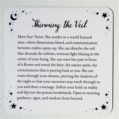 Witch Cats Oracle Deck Chai Bunny