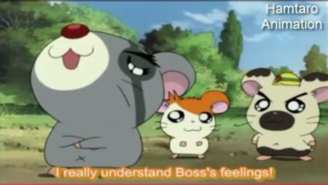 Sabugallery The Hamtaro Wiki Fandom