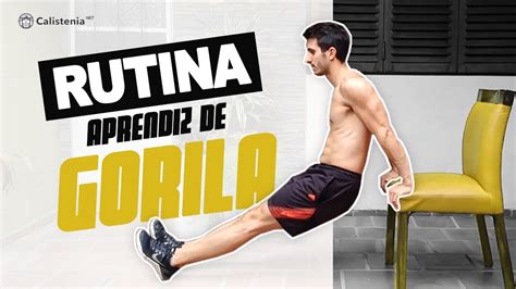 Rutina De Calistenia Para Principiantes En Casa Aprendiz De Gorila 🦍