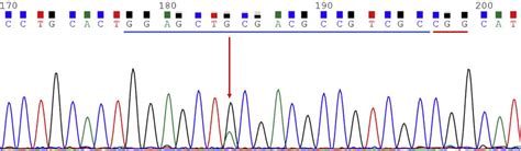 Representative Sanger Sequencing Chromatogram Of The Target Region In Download Scientific