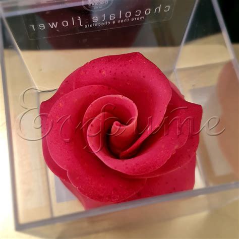 Шоколадова роза Daskalides