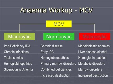 Microcytic Anemia Macrocytic Google Search Nursing Labs Nursing Study Nursing Cheat Nursing