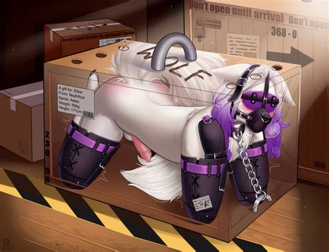 Rule 34 All Fours Animal Genitalia Animal Penis Anthro Armbinder