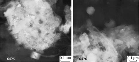 Silica Sol Particles Heterocoagulated On The Surface Of Quartz Particles Download Scientific