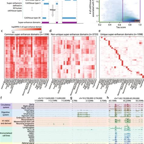 Genomic Characterization Of Common Super Enhancer Domains A Boxplots