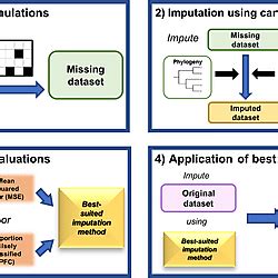 Workflow Of The Real Data Driven Simulation Strategy