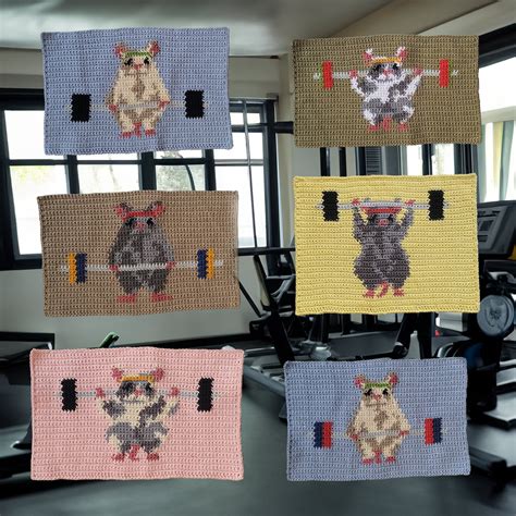 Gym Rat Combo Crochet Tapestry Pattern Pdf Etsy