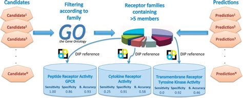 Workflow The Trained Classifier Is Provided With New Examples Genes