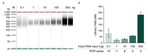 Nebnext® Rna Library Prep Kit For Mgi® Neb