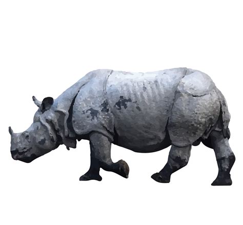 Assam Sa World For Nature