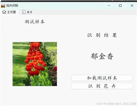 实现一个基于深度学习的花卉识别系统，并使用pyqt5作为gui界面花卉识别系统ui界面怎么搭建 Csdn博客