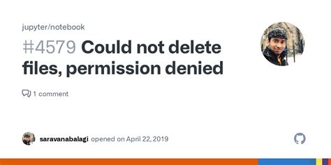 could not delete files permission denied · issue 4579 · jupyter