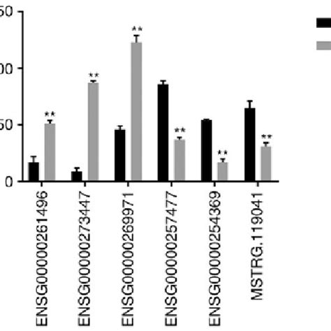 Validation Of Rna Sequencing Results By Rt Qpcr The Data Are Expressed