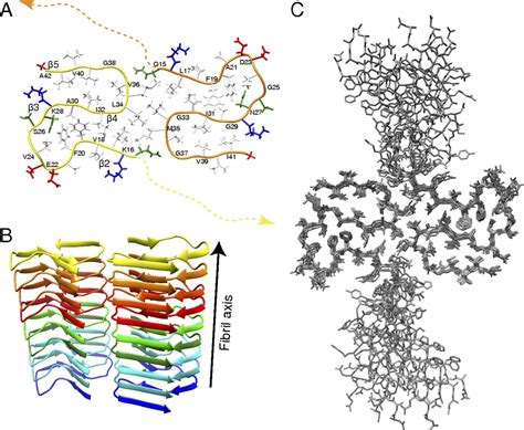 Atomic Resolution Structure Of A Disease Relevant Aβ142 Amyloid Fibril Pnas