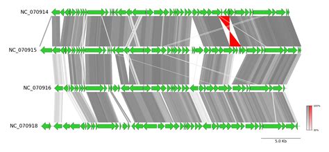 GitHub Moshi PyGenomeViz A Genome Visualization Python Package For Comparative Genomics