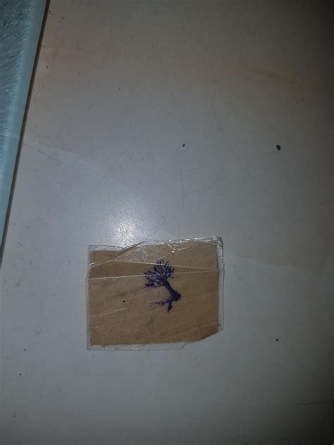 This Drawing Of A Tree That I Found In A Box Shipped From China R Mildlyinteresting