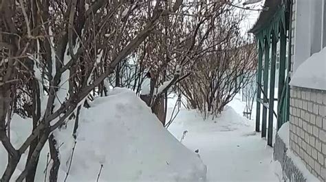 Vid 20190112 095800 Mp4