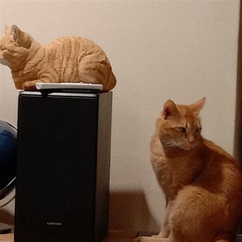 Angela Hodges Hodges8599 On Threads