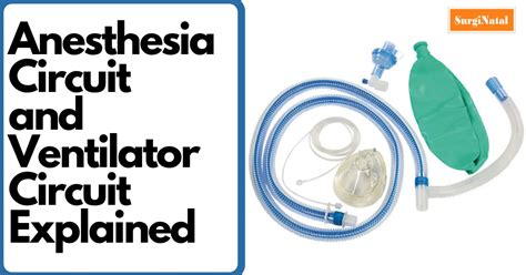 Anesthesia Vs Ventilator Circuits Explained Surginatal