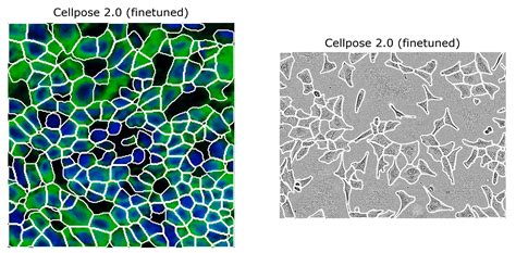 1 Qupath Home Biop Wiki Resources
