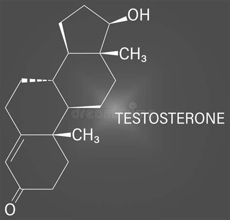 Androgen Hormones Stock Illustrations 72 Androgen Hormones Stock Illustrations Vectors