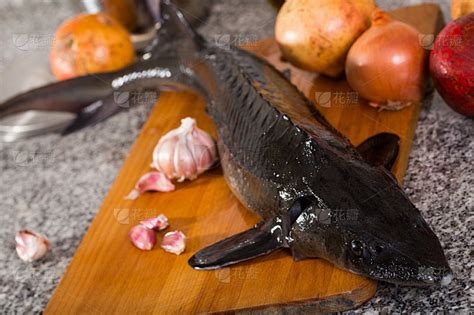 鲟鱼在石头表面与石榴