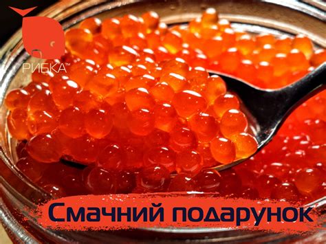 Как красиво упаковать икру на подарок