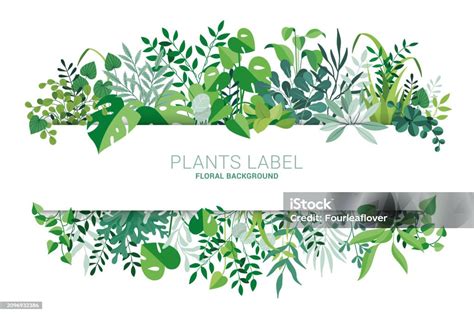 수평 꽃무늬 프레임 열대 단풍과 나뭇가지 배너 카드 포스터 인사말 머리글에 대한 템플릿입니다 벡터 평면 그림 잎에 대한 스톡 벡터 아트 및 기타 이미지 Istock