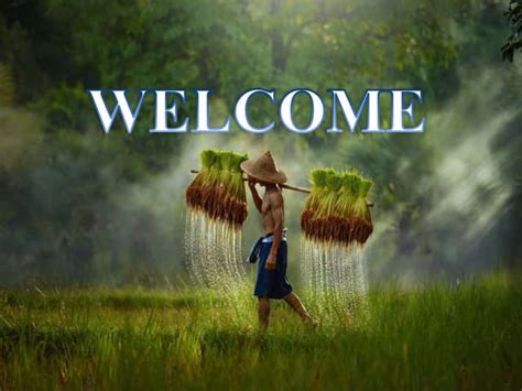 Phenotypic And Genotypic Tests For Identification Of Plant Pathogens By Sachin R Kondaguripptx