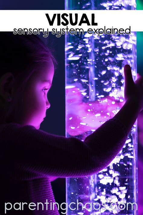 Sensory Systems Explained What Is Visual Sensory System Visual Visual Memory