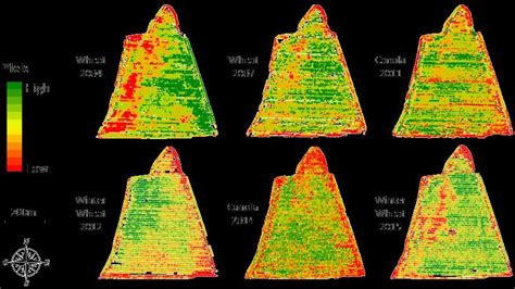 Yield Spatial Patterns In Field For The Six Years Over The Download Scientific