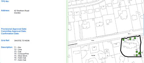 Laurie Bidwell Tree Preservation Order In Strathern Road Approved