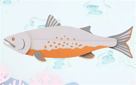 Appel Cru Quel Poisson Sushi Manger Et Lequel Ne Pas Manger Espèces Menacées Fr