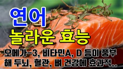 연어 효능 오메가 3와 단백질로 건강을 지키세요 심장 건강과 피부 미용을 위한 필수 식품 Youtube
