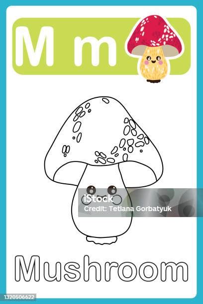 영어 알파벳 어린이 교육용 편지를 배우는 것 색상 벡터 그림입니다 아이들을위한 편지 M Abc 게임 알파벳 색칠 페이지입니다 만화 캐릭터 0명에 대한 스톡 벡터 아트 및