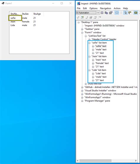 Accessibilityinsight An On Screen Element Must Not Have A Null Boundingrectangle Property When